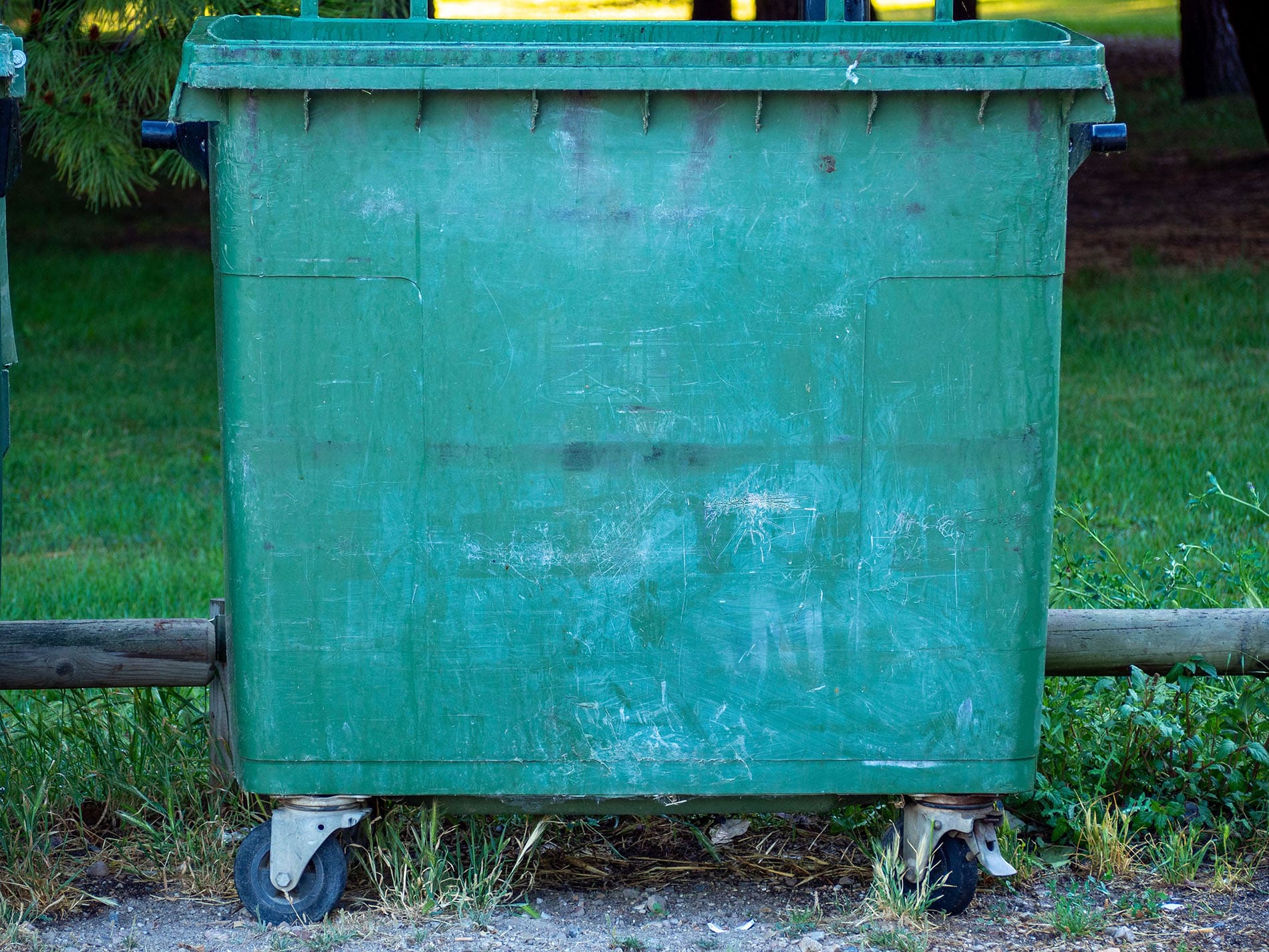 Diving into Dumpster History: The Light-Hearted Tale of Trash Bins ...